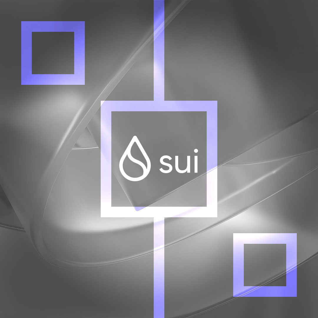Что такое Sui?